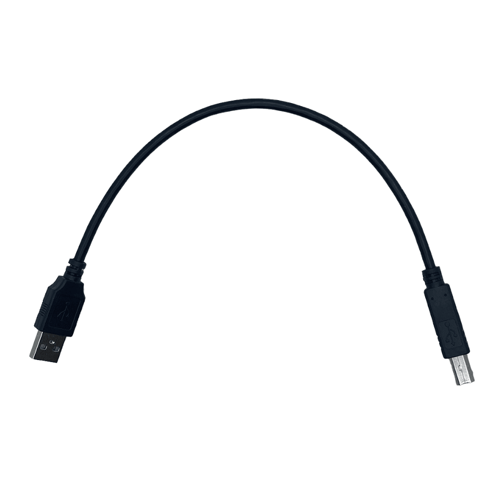 Pegasus Astro USB 2.0-A male > USB 2.0-B male 0.3m (USB2B-03M ...